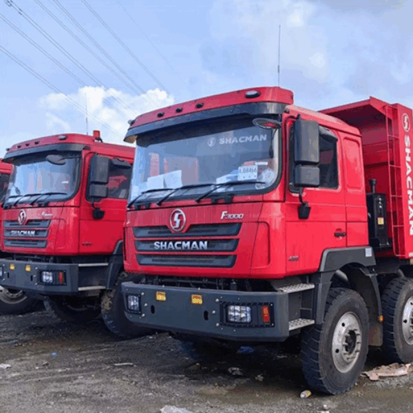 F3000 6×4 F3000 8×4 X3000 6×4 X3000 8×4 H3000S Dump Truck
